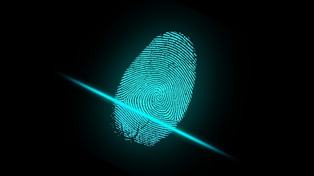 New Hacking Threats: Biometric Vulnerabilities | Seqrite