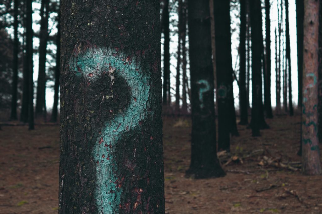 Top 5 questions SMBs should ask potential service providers Top 5 questions SMBs should ask potential service providers