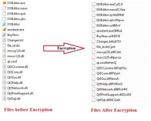 Snake Ransomware Threat Protection | SEQRITE